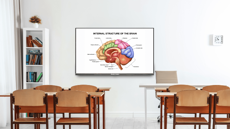 Study'n'Learn - Smarter Way To Study